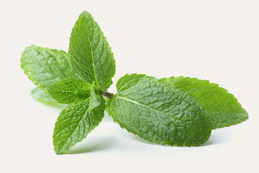 Homepage - Yachak Organic